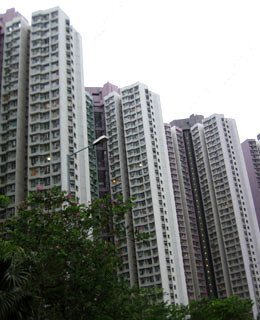 Property Market Insight | Midland Realty